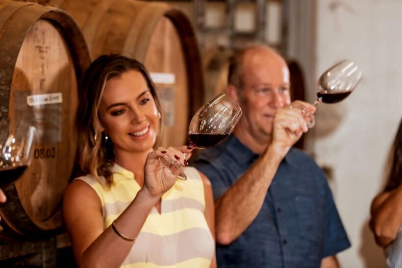 Half-Day Swan Valley Wine Tour with Tastings - From Perth - The Winery Visits and Tastings