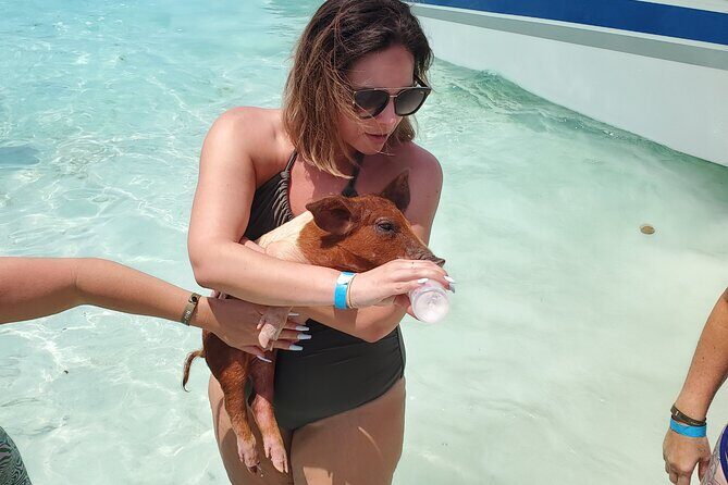 HALF DAY Swiming Pigs and Sharks Tour (Nassau to Exuma by Plane) - The Experience: What You Can Expect