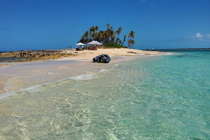 HALF DAY Swiming Pigs and Sharks Tour (Nassau to Exuma by Plane) - Authentic Experiences and Guest Input