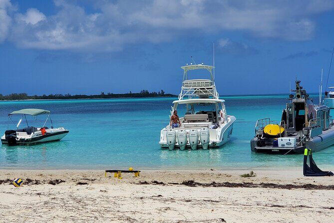 HALF DAY Swiming Pigs and Sharks Tour (Nassau to Exuma by Plane) - FAQs