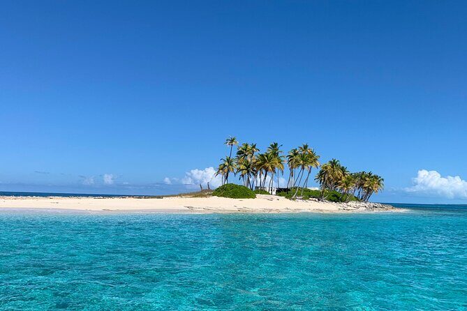 Half Day Swimming Pigs on Rose Island, Snorkeling and Lunch - Analyzing the Value