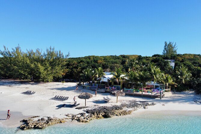 Half Day Swimming Pigs on Rose Island, Snorkeling and Lunch - The Sum Up