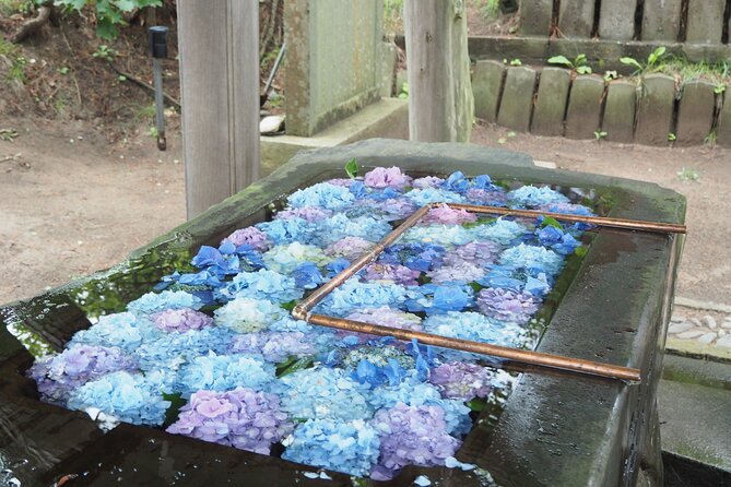 Half Day Takayama Inari Shrine Tour With Licensed Guide - Participation Guidelines