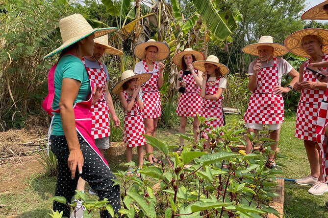 Half-Day Thai Cooking Class at Organic Farm in Chiang Mai - Introduction