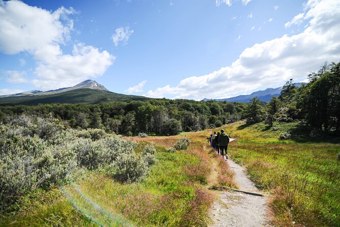 Half-Day Tierra Del Fuego National Park With Lunch and Drinks - Pickup Information
