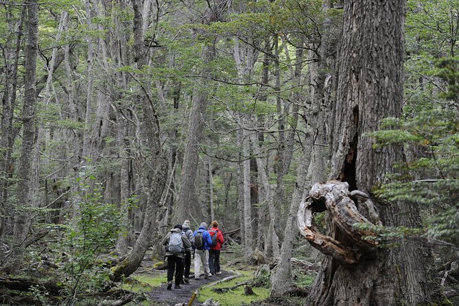 Half-Day Tierra Del Fuego National Park With Lunch and Drinks - Guided Tour Itinerary