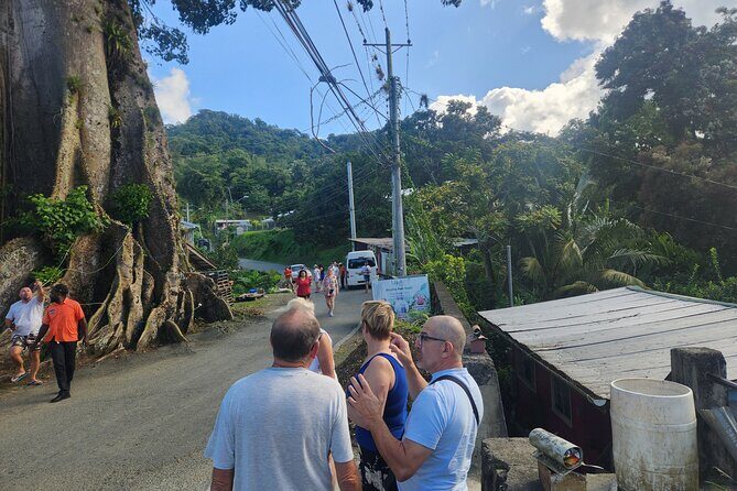 Half Day Tobago Tours with Transfers - An In-Depth Look at the Itinerary