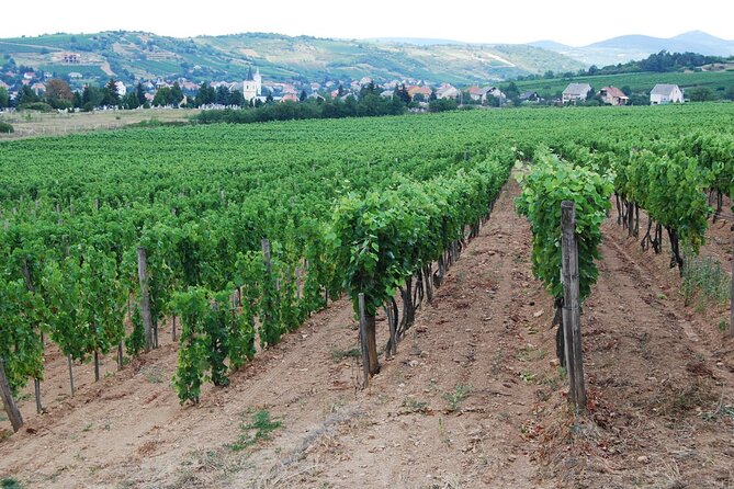 Half Day Tokaj Wine Tasting Tour in Mád Hungary with lunch - What Travelers Say