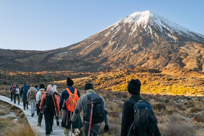 Half Day Tongariro Alpine Guided Group Walk - An In-Depth Look at the Experience