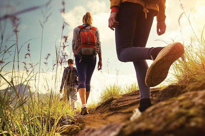 Half day Top Valley trek in Munnar - An In-Depth Look at the Top Valley Trek Experience