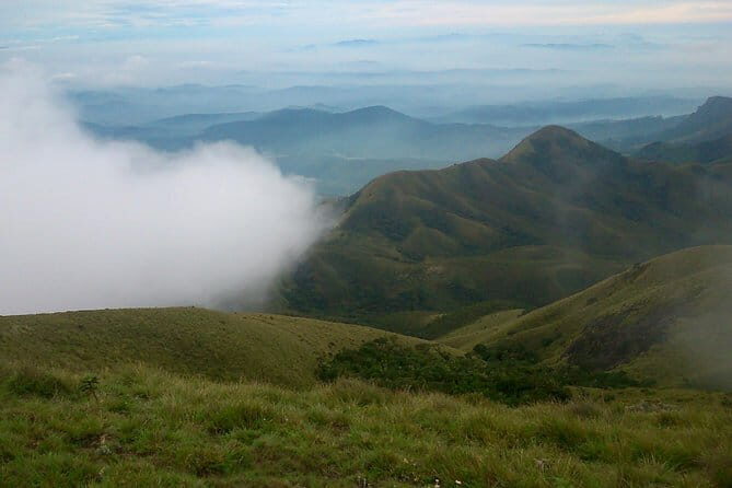 Half day Top Valley trek in Munnar - Final Thoughts: Is It Worth It?