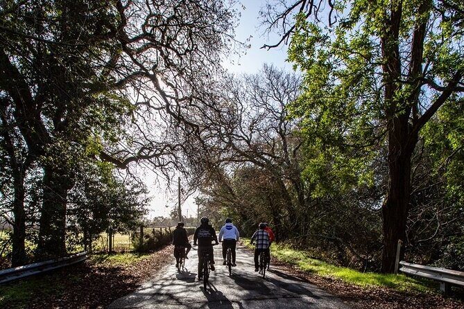 Half Day Tour - Authentic Experiences That Shine