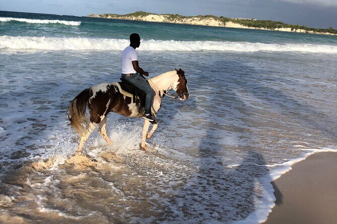 Half-Day Tour 2-in-1, Redonda Mountain & Horseback Riding Tour in Macao Beach - The Sum Up
