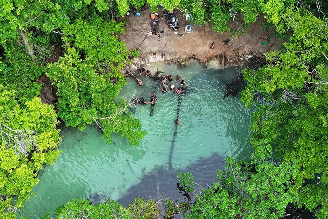 Half Day Tour and Buggie Adventure at Samana - Key Points