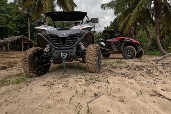 Half Day Tour and Buggie Adventure at Samana - In-Depth Review: What This Tour Offers
