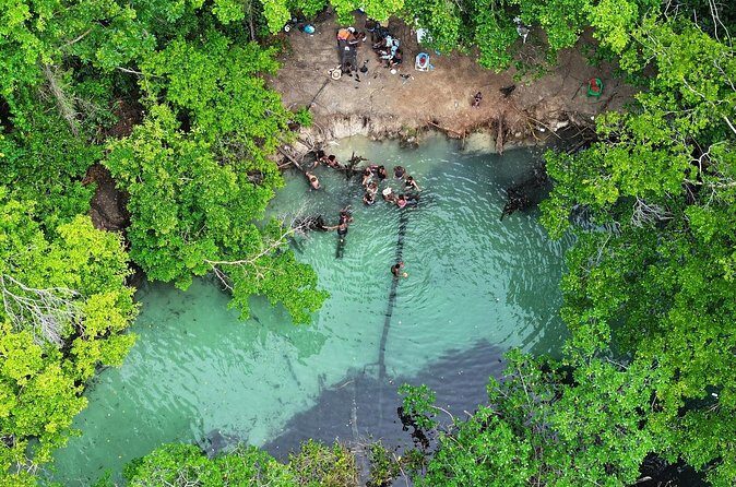 Half Day Tour and Buggie Adventure at Samana - The Sum Up