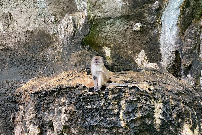 Half Day Tour Around Phi Phi Islands By Private Longtail Boat From Phi Phi - Final Thoughts