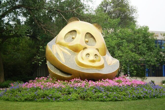 Half-Day Tour at Chengdu Panda Breeding Research Base - The Practicalities: Whats Included and Whats Not