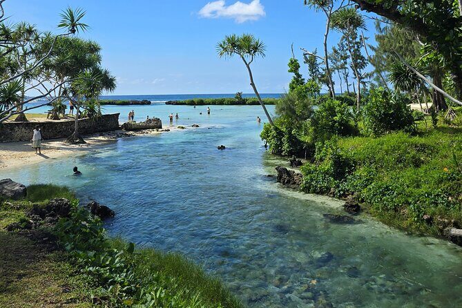 Half Day Tour at Eton Beach and Blue Lagoon with Lunch at Turtles - Key Points