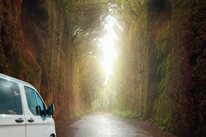 Half Day Tour Discovering Anaga Tenerife - Overview of the Tour