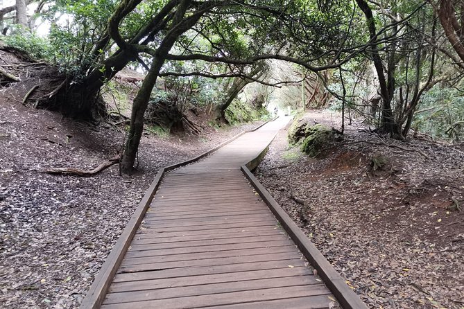 Half Day Tour Discovering Anaga Tenerife - Tour Schedule and Operating Hours