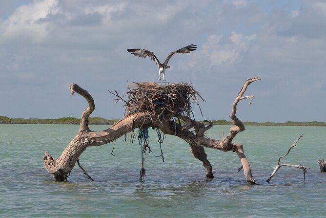 Half-Day Tour Discovering Sian Ka´an with Lunch - An In-Depth Look at the Tour Experience