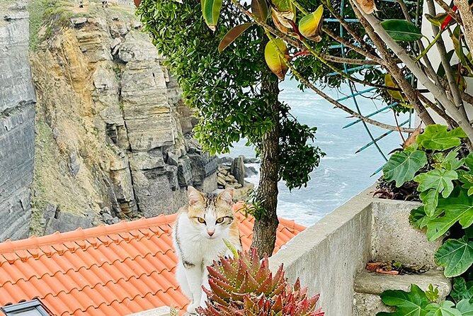 Half-Day Tour in Cascais / Sintra With Brunch and Wine Tasting - Making the Most of Your Time