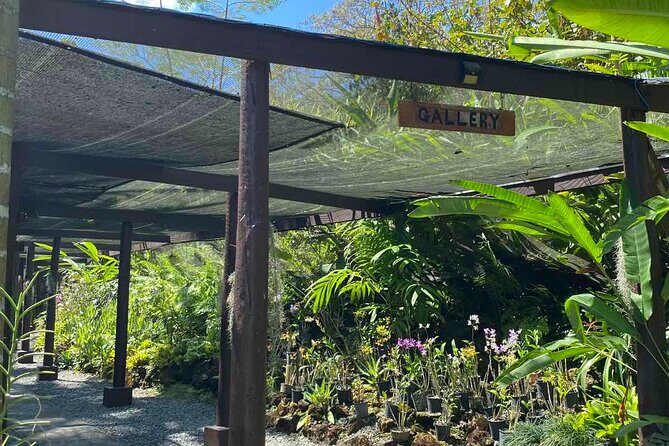 Half Day Tour in Nadi - What We Love About This Tour