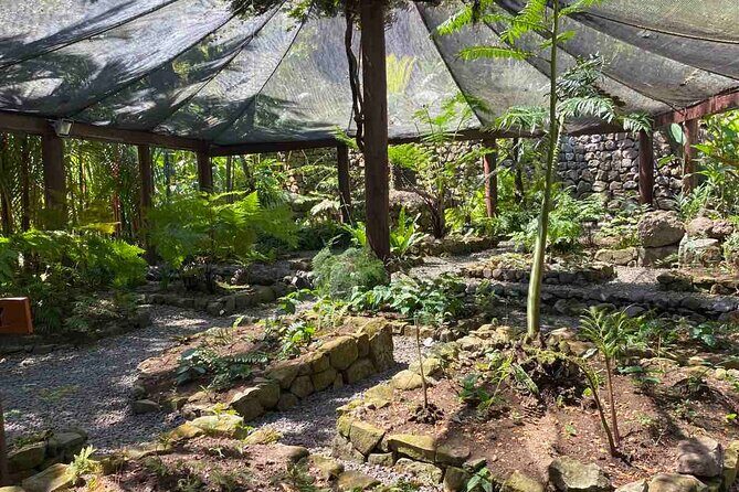 Half Day Tour in Nadi - Frequently Asked Questions