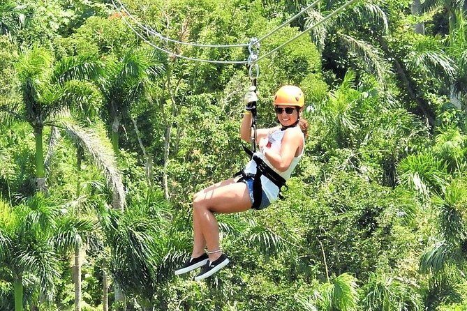 Half Day Tour in Rainforest Zipline Park with Transportation - The Bottom Line
