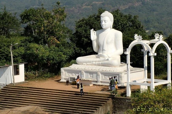 Half day tour - in Sacred city of Anuradhapura Or sacred city of Mihintale. - Who Should Consider This Tour?