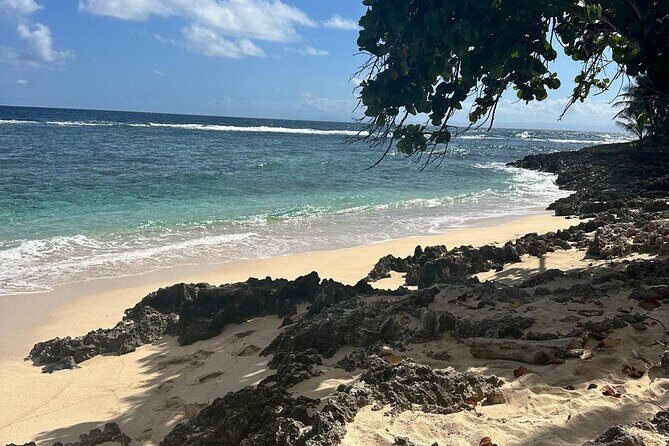 Half Day Tour in Samana with ATV Adventure - Introduction: Why You Might Love This ATV Tour