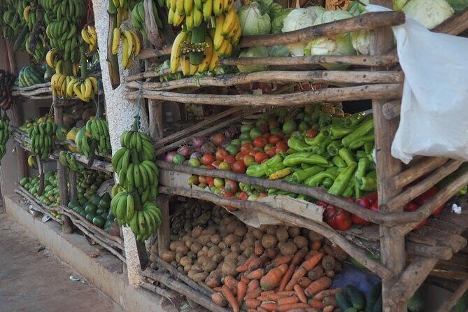 Half Day Tour in Samana with ATV Adventure - The Ride and Equipment: What You Need to Know