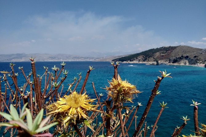 Half-day Tour in South Albania (Blue Eye, Lekursi Castle, Ksamil) - Health and Safety Considerations