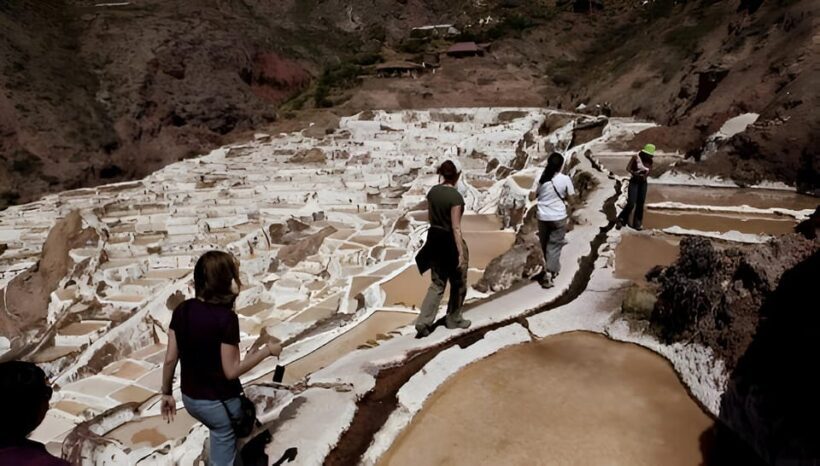Half day tour: Maras Salt Mines and Moray Terraces - The Sum Up: Who Is This Tour Best For?