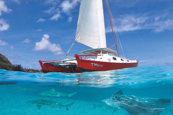 Half Day Tour : Moorea Snorkeling & Sailing on a Catamaran named Taboo - Introduction