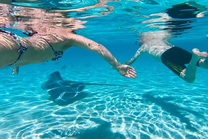 Half Day Tour : Moorea Snorkeling & Sailing on a Catamaran named Taboo - The Snorkeling Experience