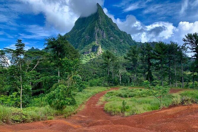 Half-Day Tour of Moorea Island in a Small Group - What We Love About This Tour