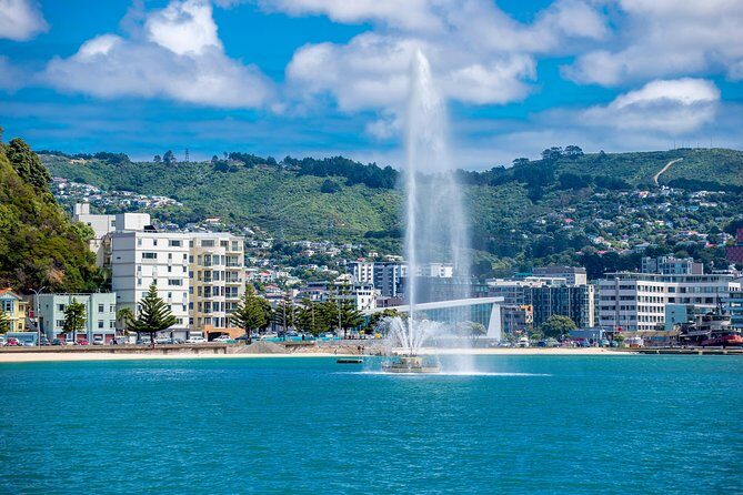 Half Day Tour of Wellington - An In-Depth Look at the Wellington Half Day Tour