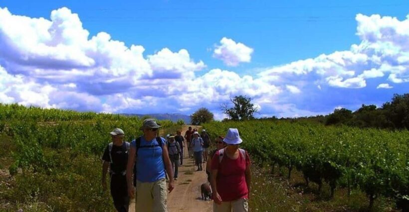Half Day Tour of Wineries and Olive Oil from Mendoza - Key Points