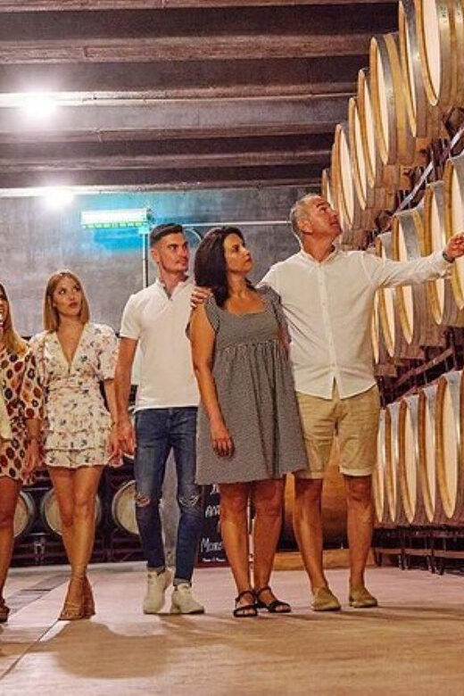 Half Day Tour of Wineries and Olive Oil from Mendoza - The Sum Up