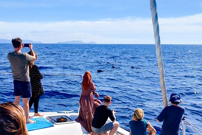 Half Day Tour on a Luxury Catamaran on Madeira Island - Swimming and Relaxation
