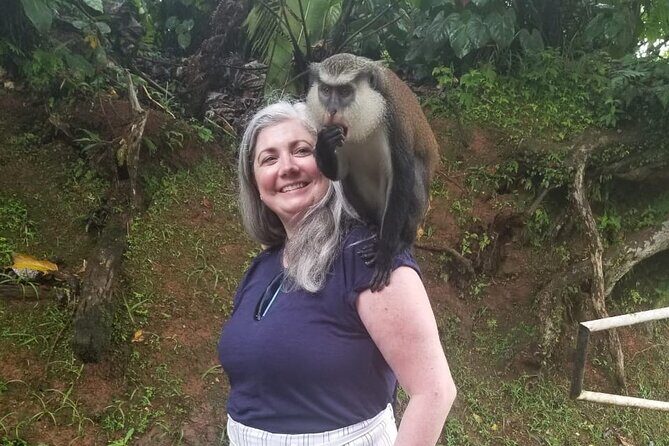 Half Day Tour - Popular Sites in Grenada, Forest Reserve,Spice Market,Waterfalls - FAQ