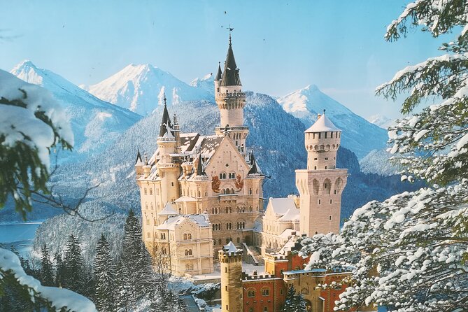 Half day tour private from Munich to Neuschwanstein Castle - A Closer Look at the Tour Experience