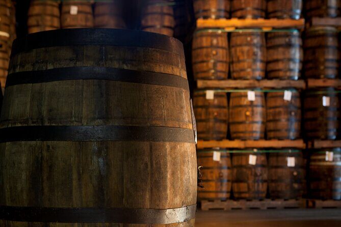 Half-Day Tour: Ron Barceló Factory Experience from Santo Domingo - Who Should Consider This Tour?