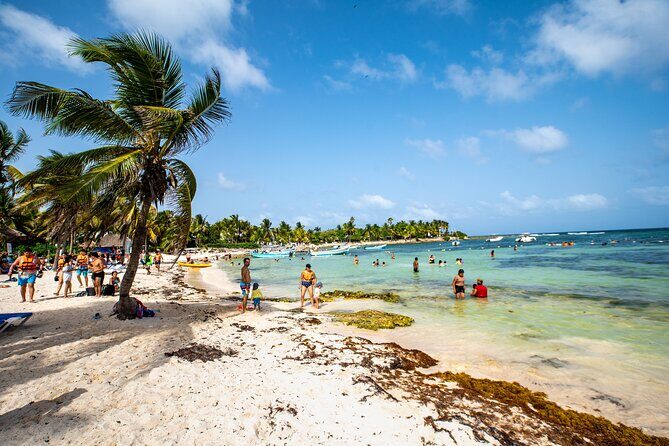 Half-day Tour Sea Turtles Encounter in Akumal Bay - Final Thoughts: Who Should Consider This Tour?