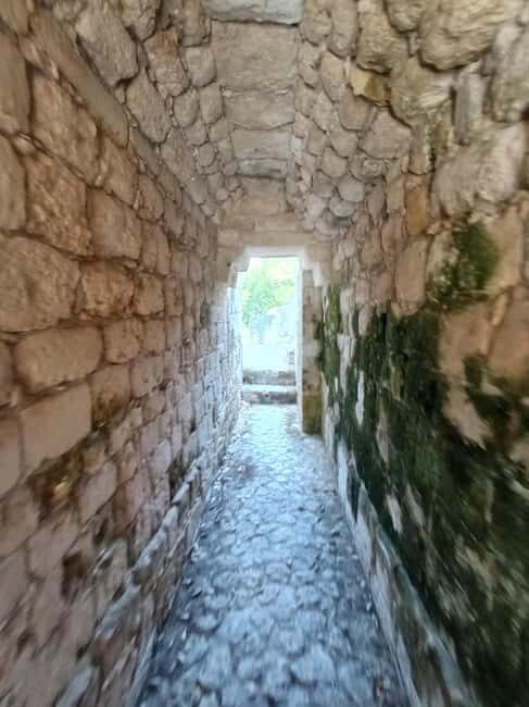Half Day Tour to Becan Mayan Ruins from Bacalar or Chetumal - Authentic Experiences Shared by Travelers