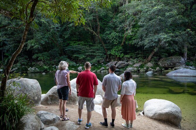 Half Day Tour to Daintree Rainforest and Mossman Gorge - Practical Details and What You Can Expect