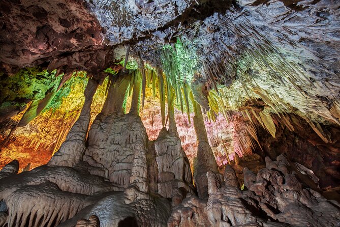 Half Day Tour to Dinosaur Land in Mallorca - Authentic Traveler Feedback and Insights