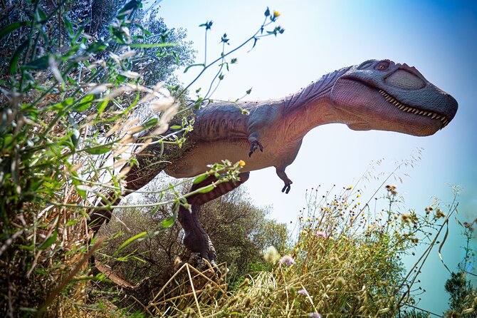 Half Day Tour to Dinosaur Land in Mallorca - Final Thoughts